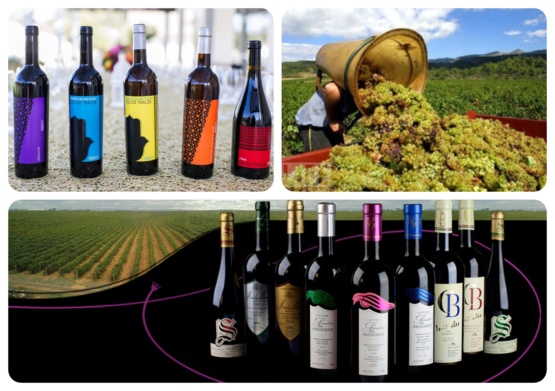 Moroccan Wine | Travel Awards | Travel & Hospitality Awards